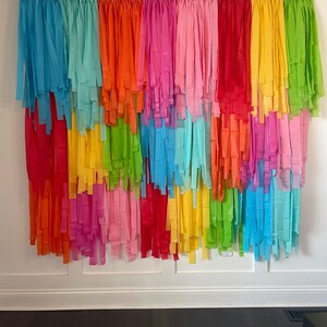 Fiesta Fringe Photo Backdrop - Etsy