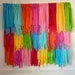 Fiesta Fringe Photo Backdrop - Etsy