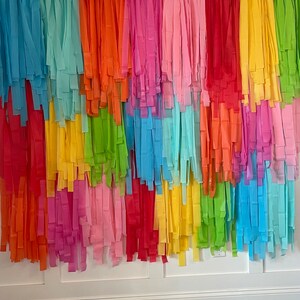 Fiesta Fringe Photo Backdrop - Etsy