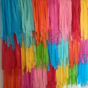 Fiesta Fringe Photo Backdrop - Etsy