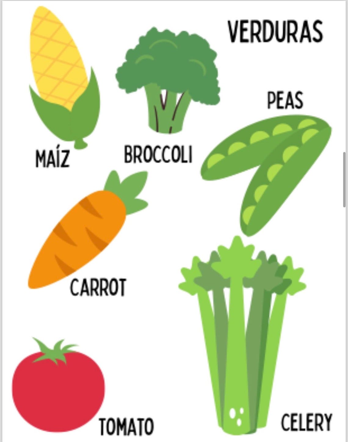 Preschool Activity Book SPANISH physical Book - Etsy