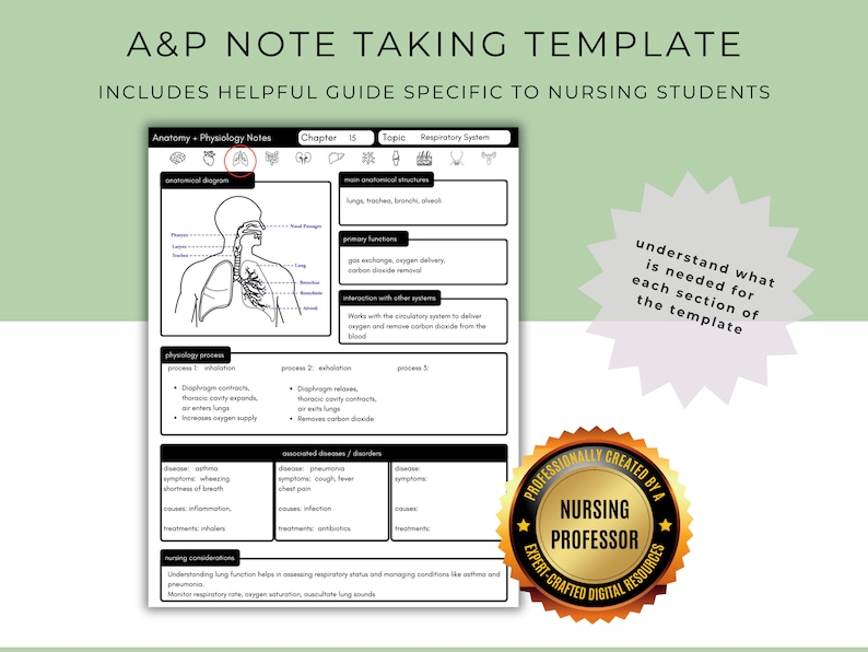 Nursing School Anatomy & Physiology Note Taking Template | Nursing ...