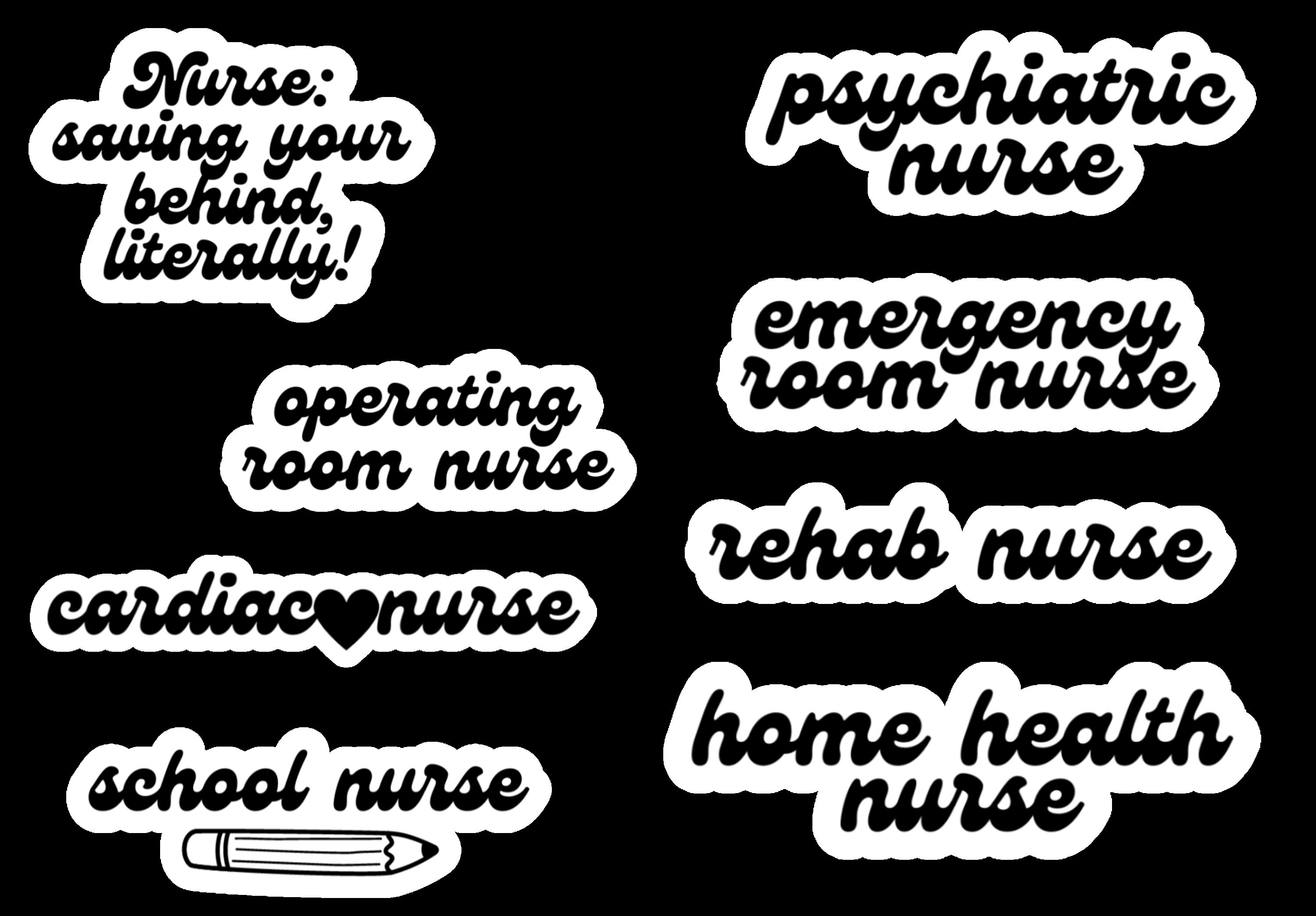 Nursing Sticker Sheet for Nurses With Sassy Statements and Nurse Roles ...