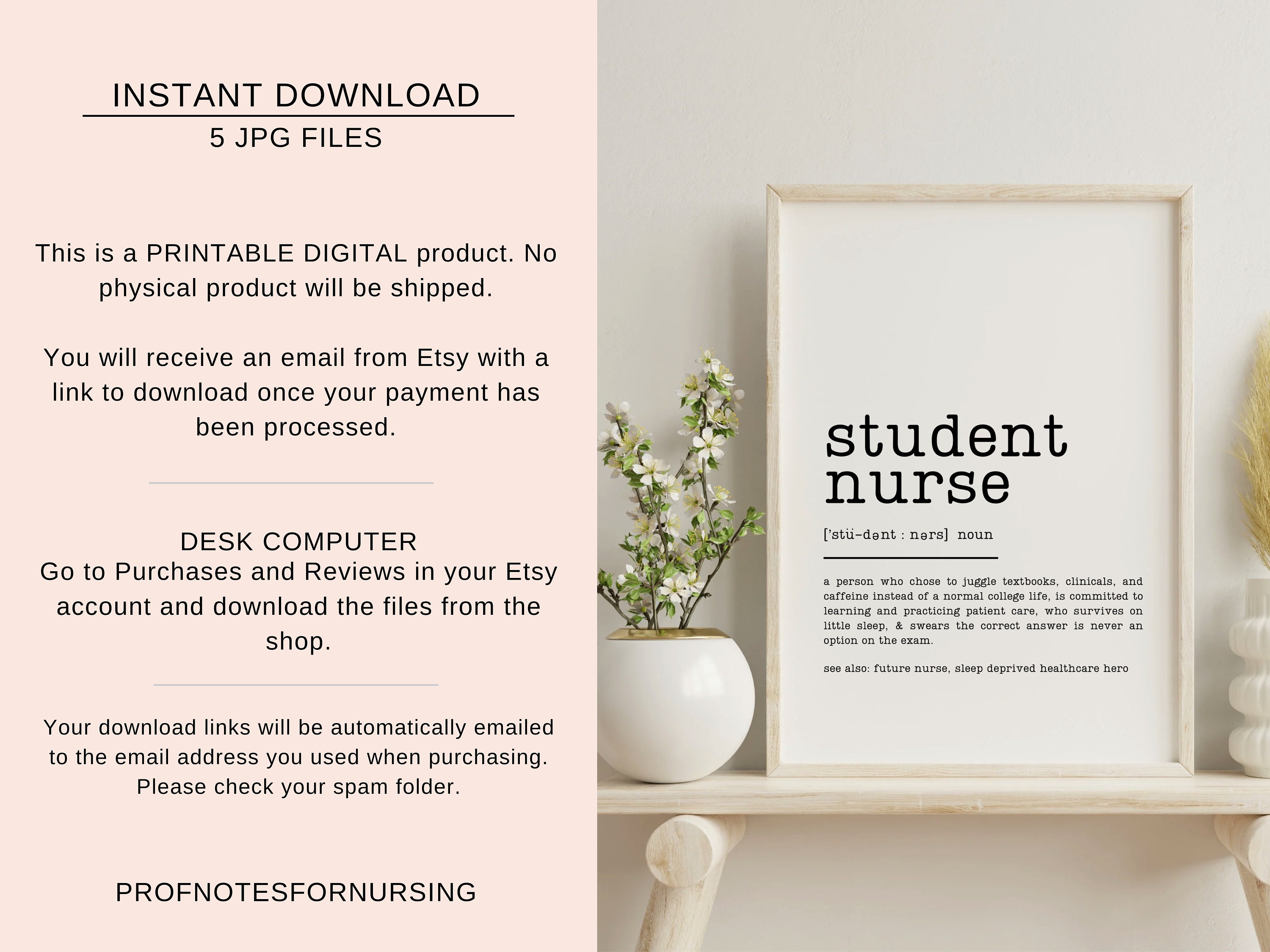 Student Nurse Definition Print Student Nurse Gift Nursing School Gift ...