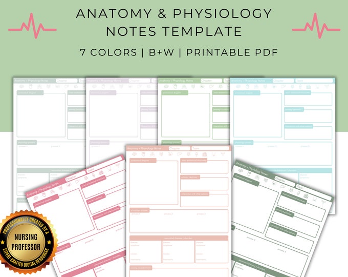 Nursing Concept Map Bundle | 5 Concept Maps | Nursing School Notes ...