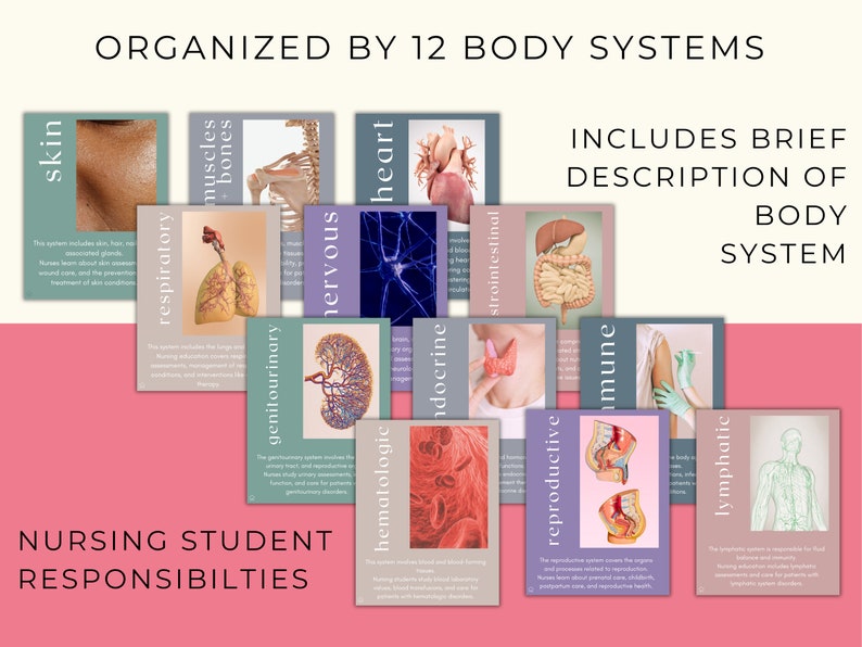 Anatomy & Physiology Nursing School Digital Note Taking Workbook | 130 ...