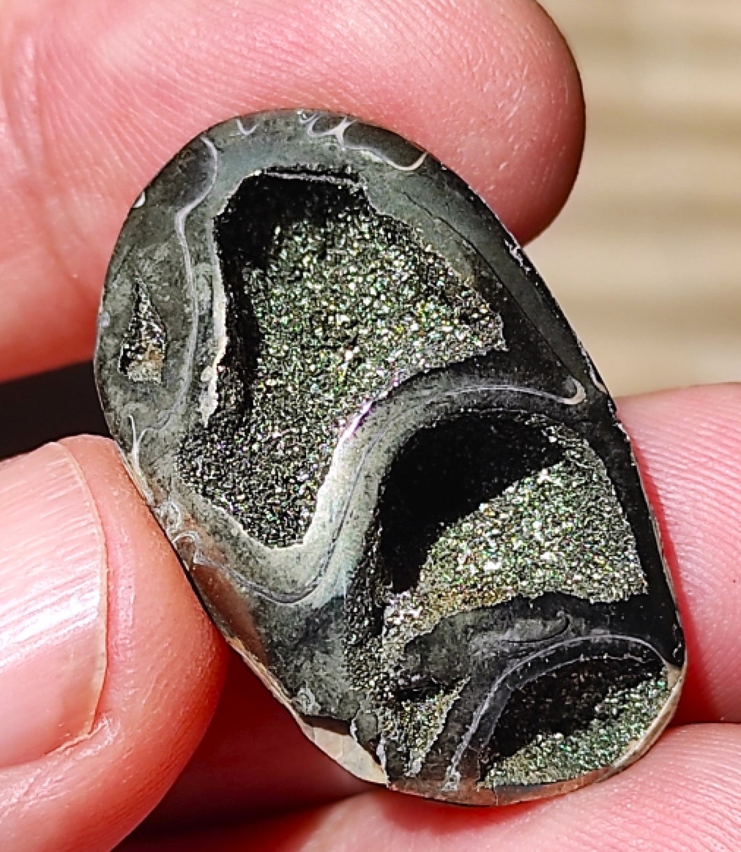 Amazing Pyrite Pseudomorphose by the Ammonite From Ural - Etsy