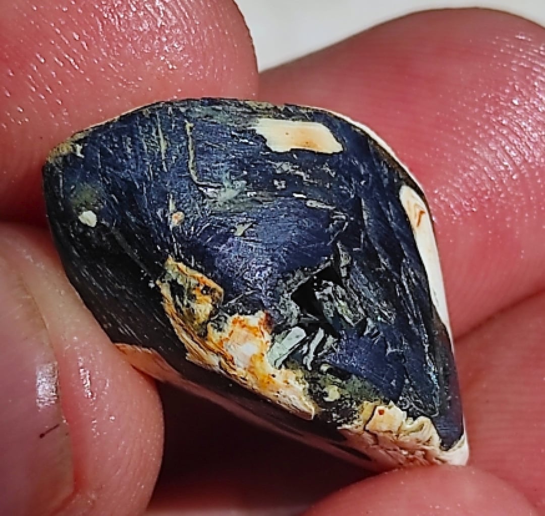 Vivianite Crystal in Shell, Black Sea Mineral Specimen (27x17x14mm) - Etsy