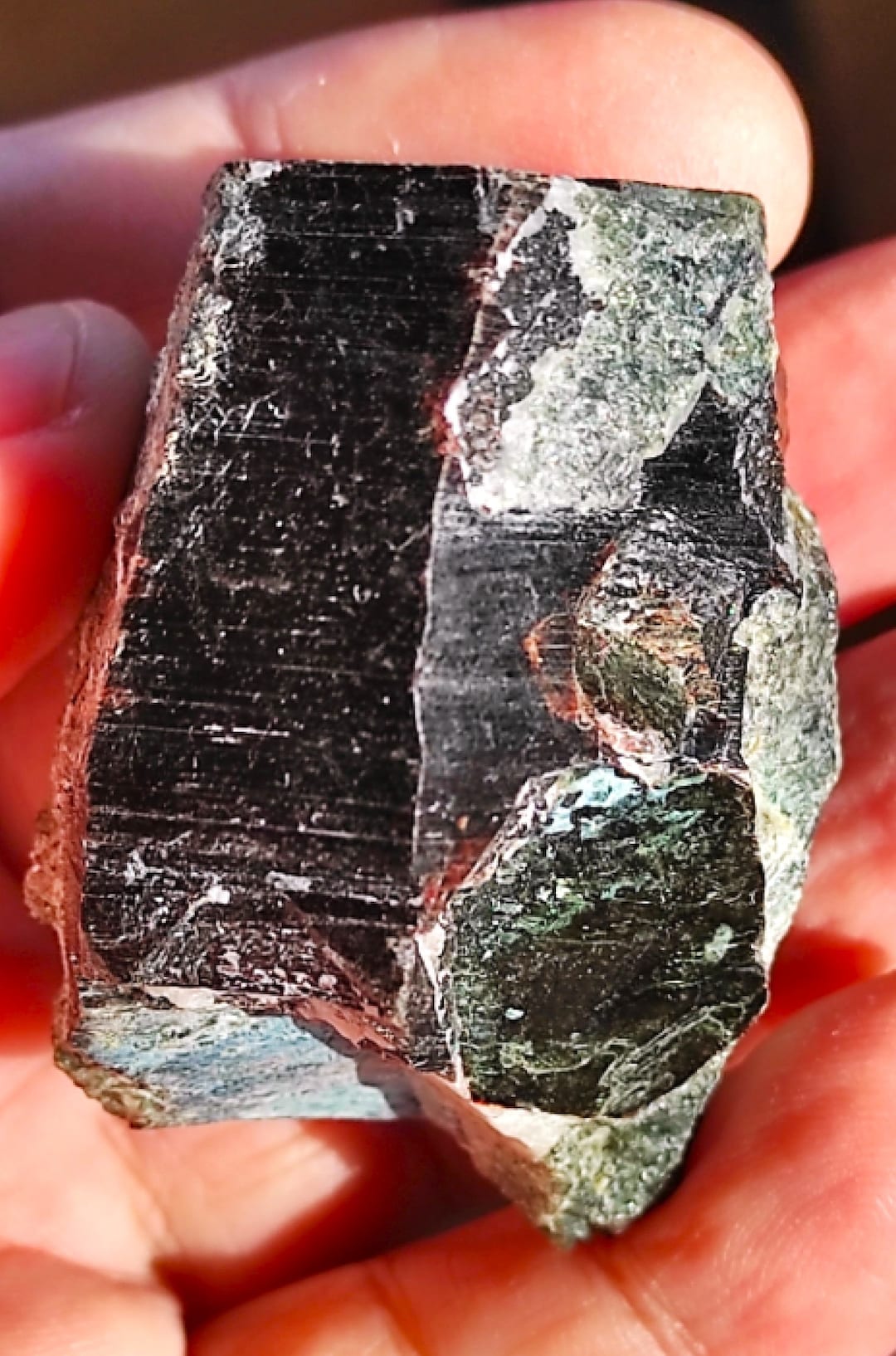 Amazing Tetraferriphlogopite Crystals in Green Forsterite From Kola ...