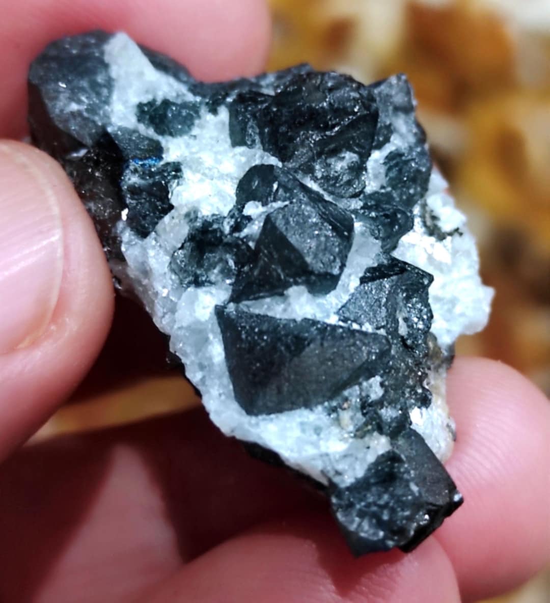 Amazing Black Magnetite Octahedral Crystals in Calcite!!! - Etsy