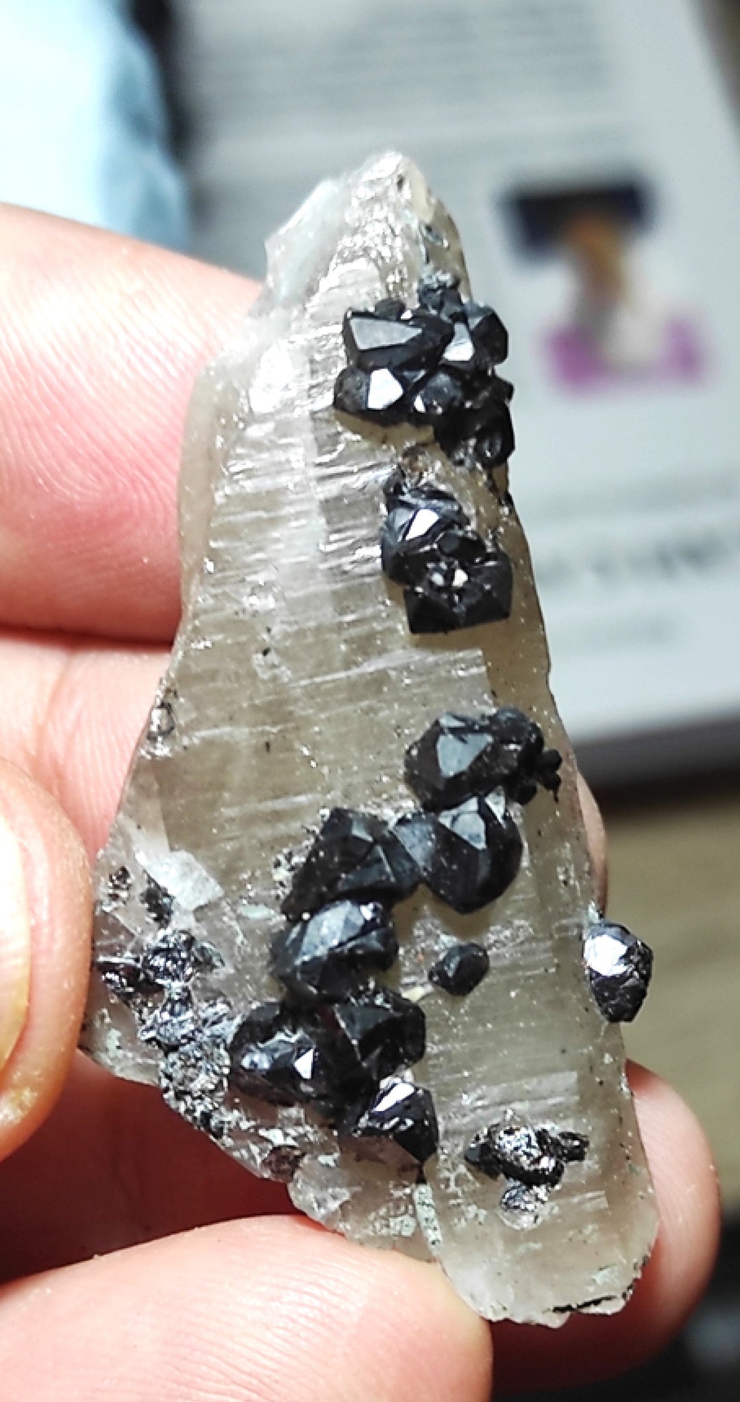 Amazing Black Cassiterite Twin Crystals on Smoky Quartz - Etsy