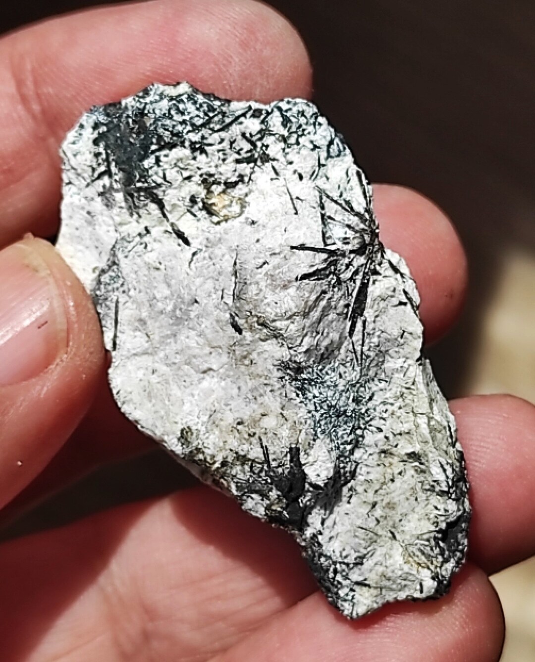 Amazing Very Rare Black Umbozerite Crystals in Rare Ussingite From Kola ...