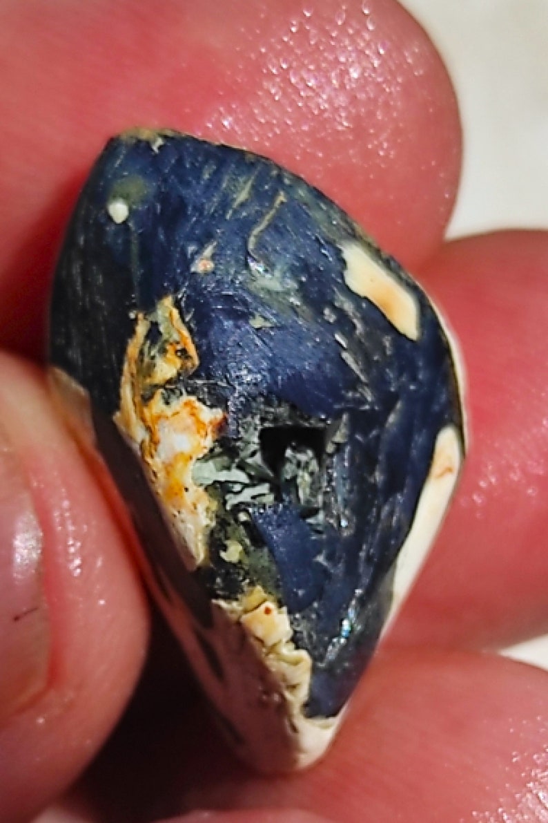 Vivianite Crystal in Shell, Black Sea Mineral Specimen (27x17x14mm) - Etsy