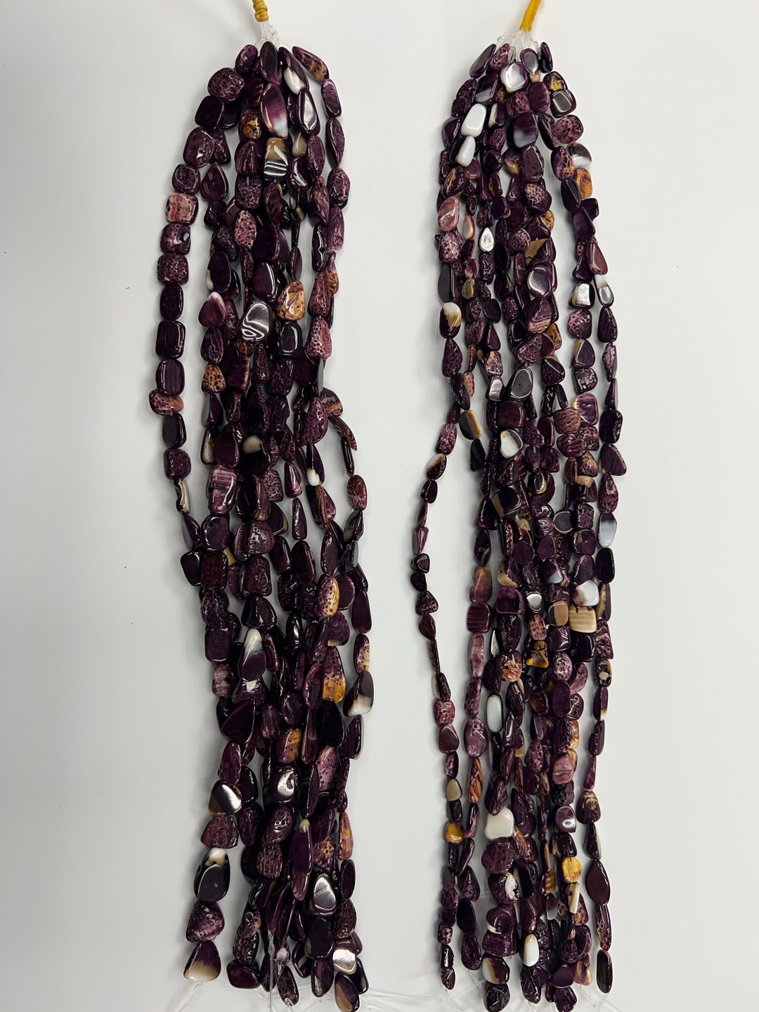 Purple Spiny Oyster Shell Freeform 16inches - Etsy