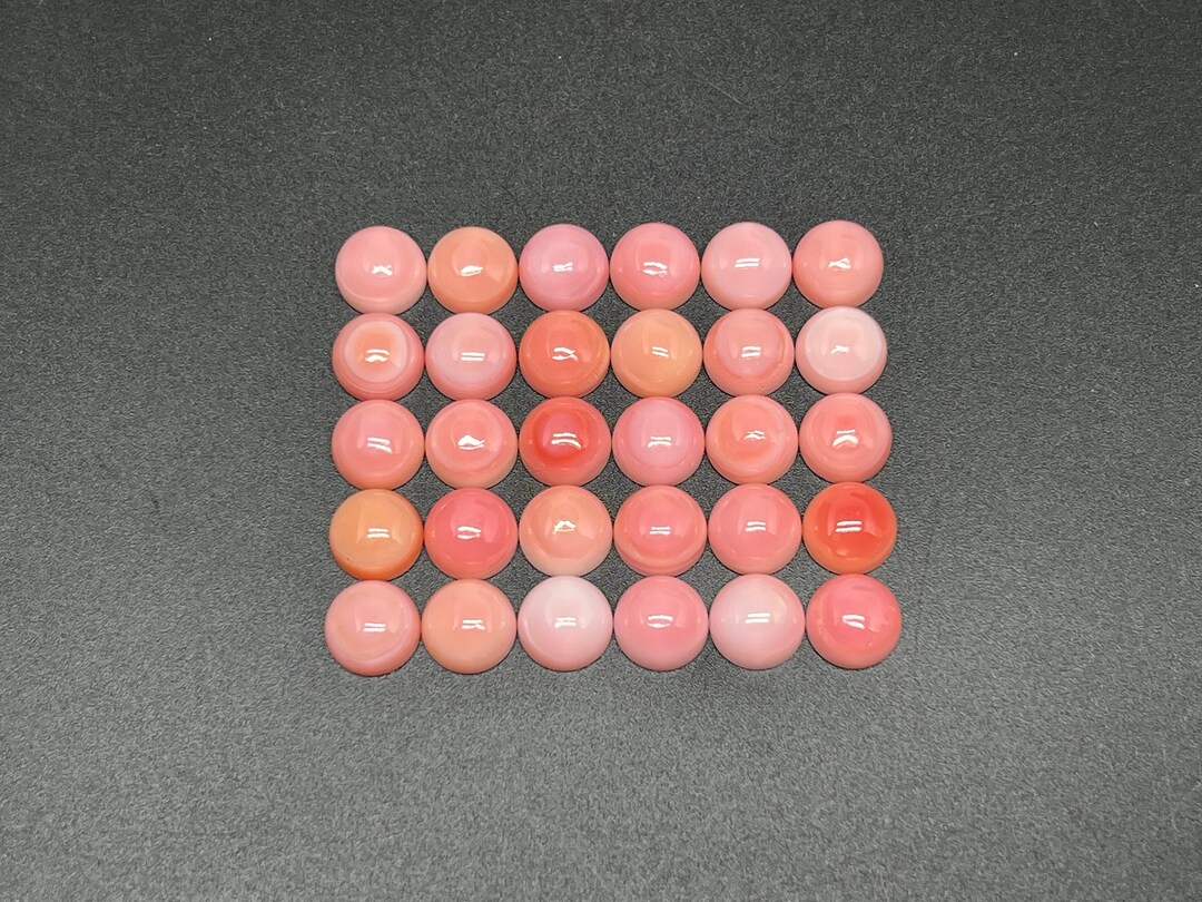 8mm Queen Conch Shell Round Cab - Etsy