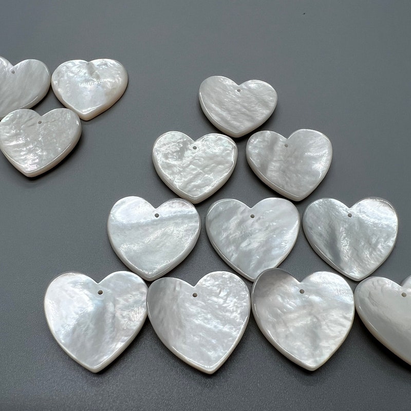 Heart Shaped Shell - Etsy