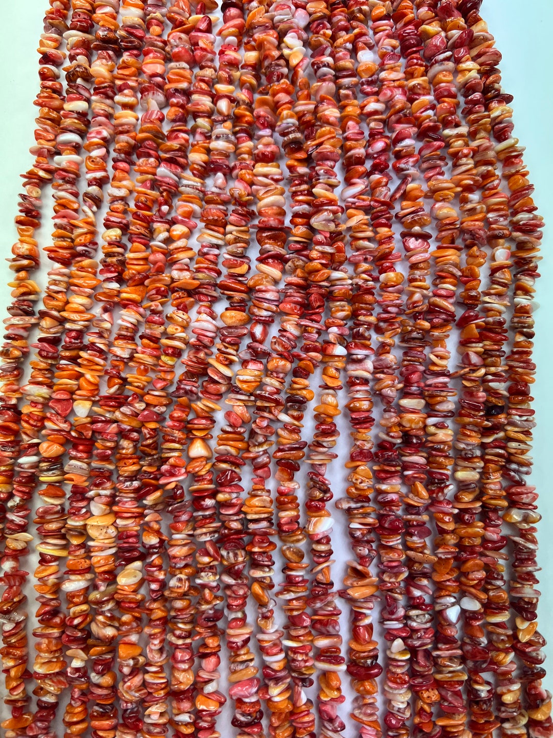 Spiny Oyster Shell Chips 16inches - Etsy