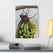 Cairns Birdwing Butterfly Canvas Print - Etsy