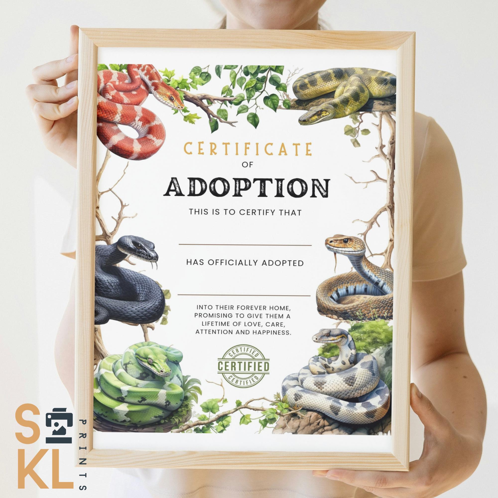 Printable - 8.5x11in SNAKES Pet Adoption Certificate, High Resolution ...
