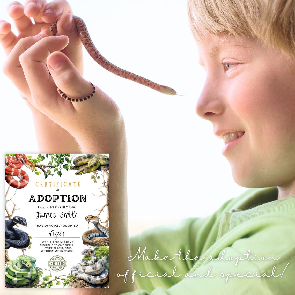 Printable - 8.5x11in SNAKES Pet Adoption Certificate, High Resolution ...