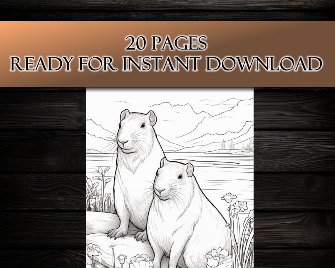 20 Capybara Coloring Pages | Coloring Pages for Kids and Adults ...