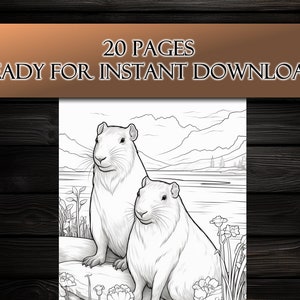 20 Capybara Coloring Pages | Coloring Pages for Kids and Adults ...