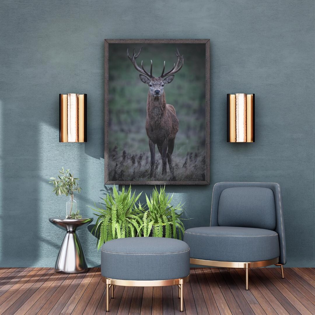 Red Stag Printable Wall Art | Wildlife Photography Digital Download ...