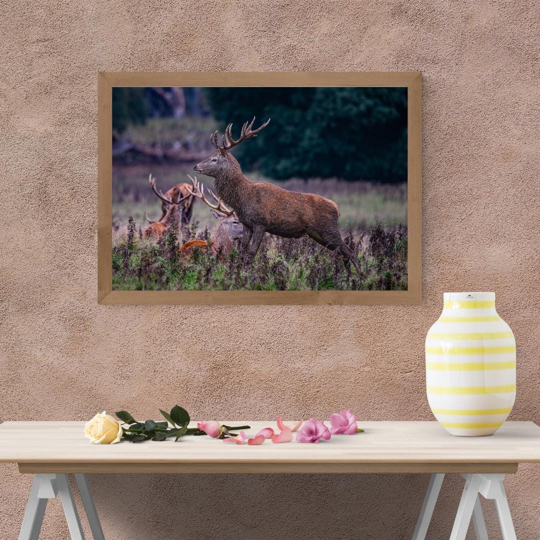 Red Stags Printable Wall Art | Wildlife Photography Digital Download ...
