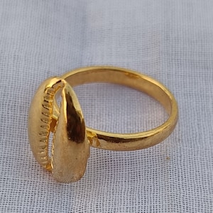 Cowrie Shell Ring, Handmade Shell Ring, Statement Ring, Money Cowrie ...