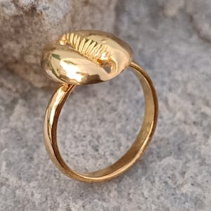Cowrie Shell Ring, Handmade Shell Ring, Statement Ring, Money Cowrie ...