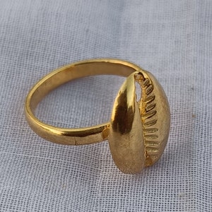 Cowrie Shell Ring, Handmade Shell Ring, Statement Ring, Money Cowrie ...