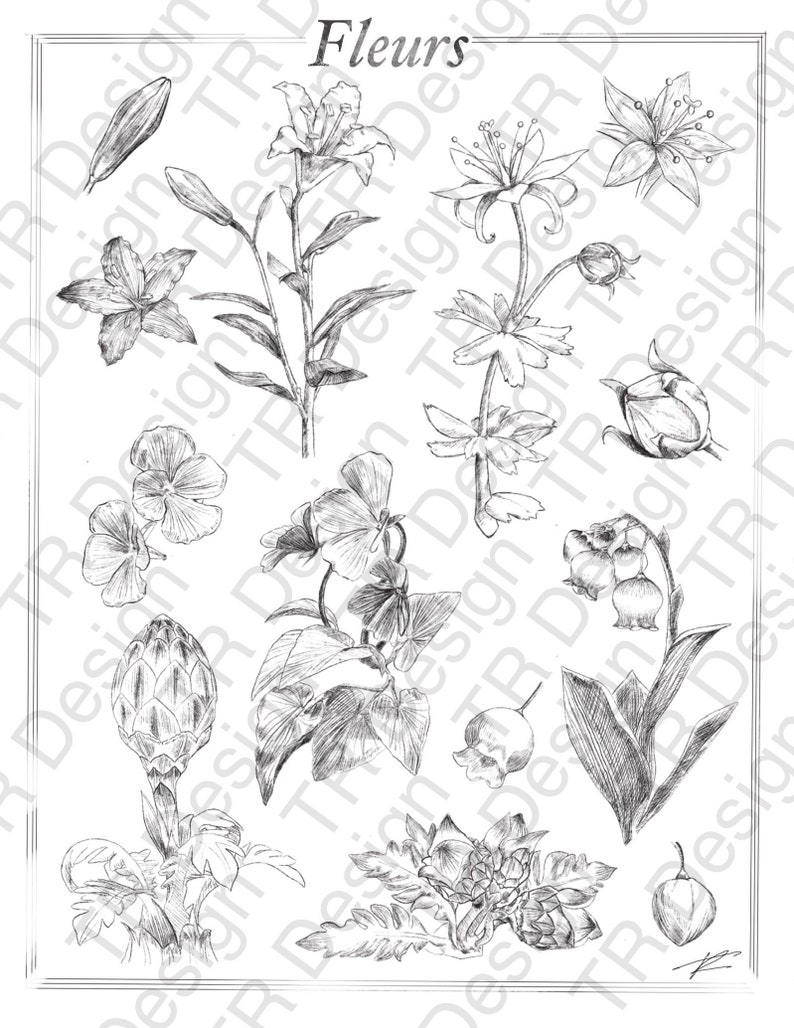 Hyrule Flower Chart, Zelda Bag, Tears of the Kingdom, Breath of the ...