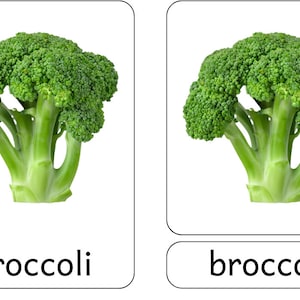 Fruits & Vegetables - Printable Dual Flashcards for Kids - Etsy