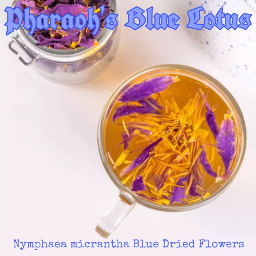 Nymphaea Micrantha Var. Blue | Rare Blue Water Lily Seeds/live Plant ...