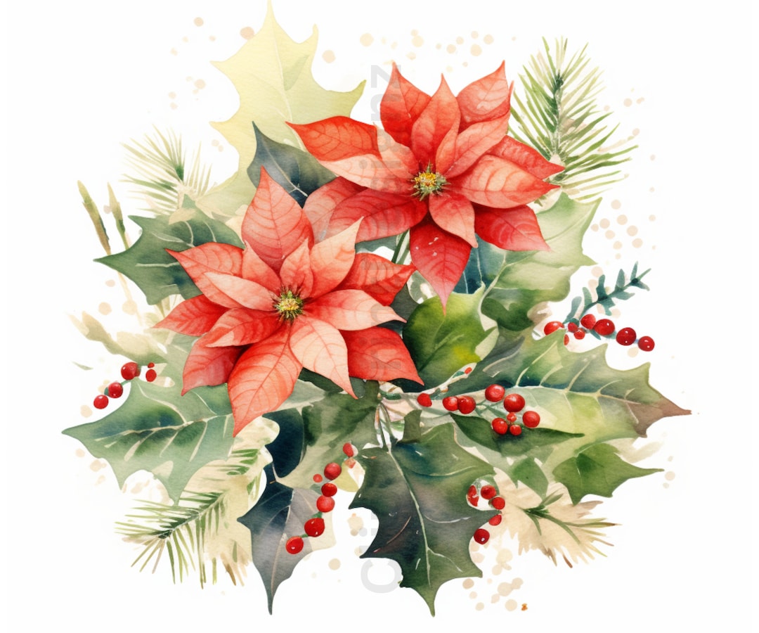 Watercolor Christmas Flowers Clipart, 20 High Quality Images, Christmas ...