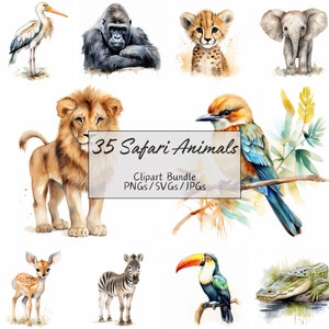 Watercolor Safari Animal Clipart Bundle, 35 300 Dpi Pngs/jpgs/svgs ...