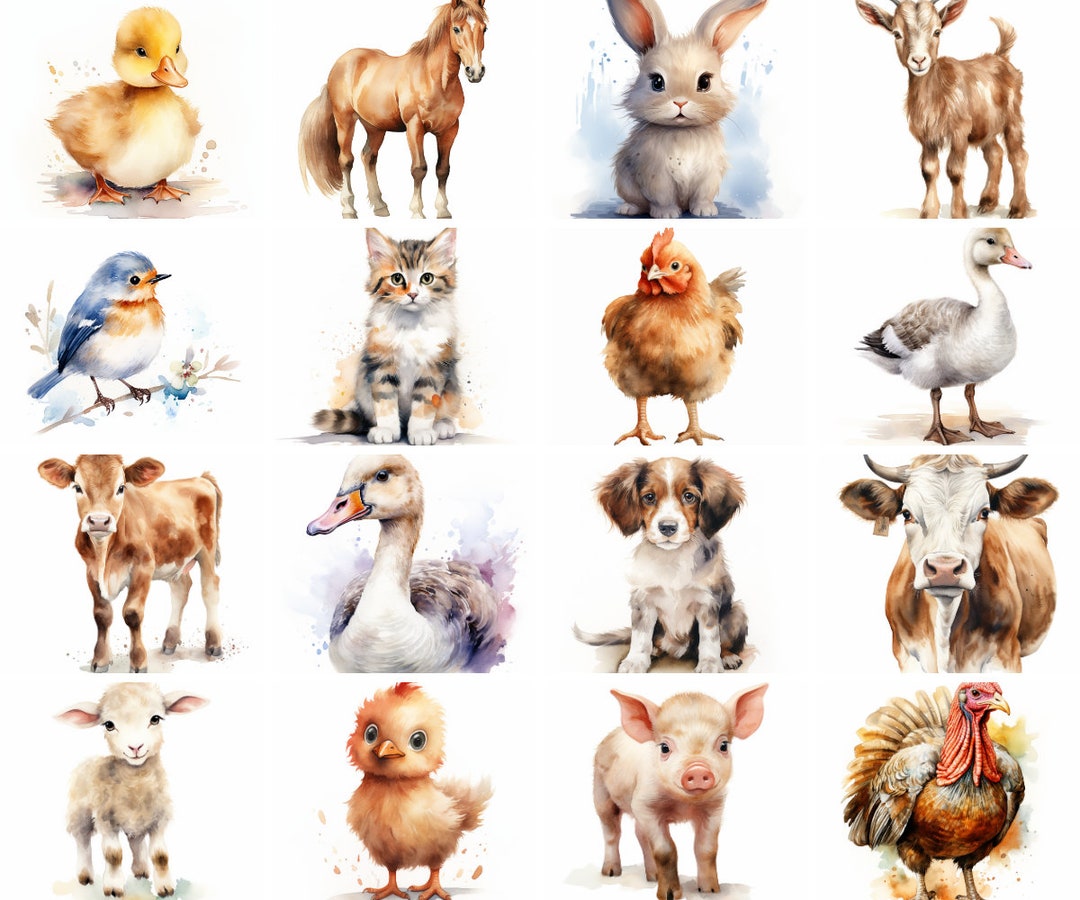 20 Cute Farm Animals High Quality Clipart Bundle Watercolor - Etsy