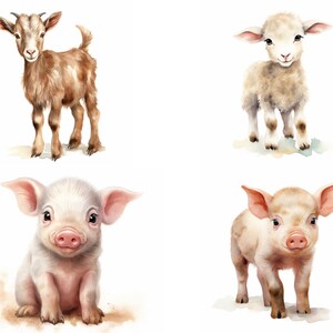 20 Cute Farm Animals, High Quality Clipart Bundle, Watercolor Pngs/jpgs ...