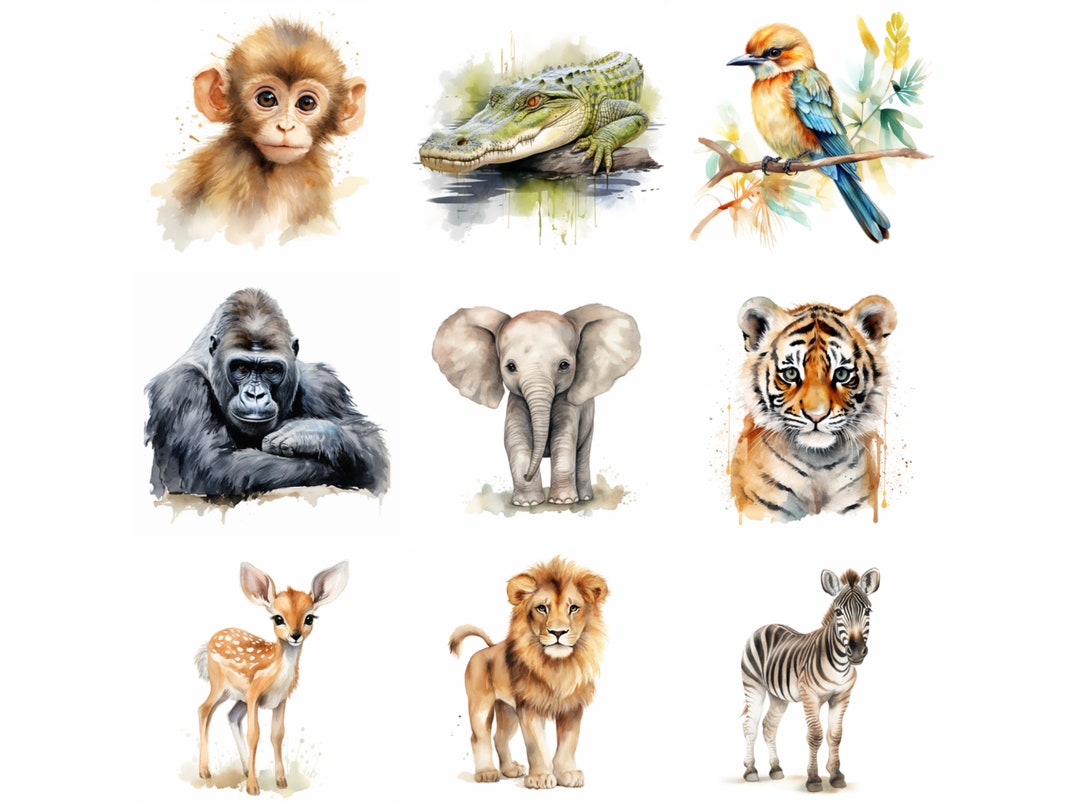 Watercolor Safari Animal Clipart Bundle, 36 400 Dpi Pngs, Commercial ...