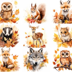 93 Watercolor Fall Animals Bundle, Cute Baby Animals, Woodland Animals ...