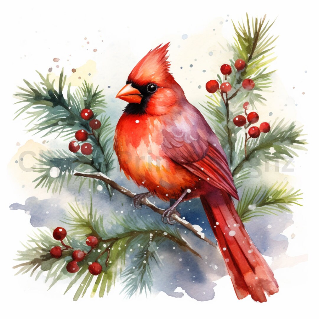 10 Cute Red Christmas Cardinals, High Quality Clipart Bundle, Digital ...
