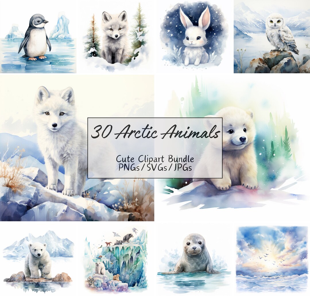 30 Cute Watercolor Baby Arctic Animals Clipart Bundle, High Quality ...