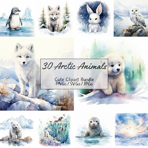 30 Cute Watercolor Baby Arctic Animals Clipart Bundle, High Quality ...