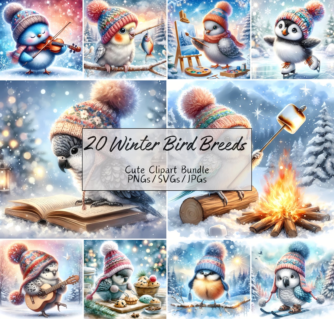 Cute Winter Bird Breeds Clipart Bundle, Festive Watercolor Clip Art ...