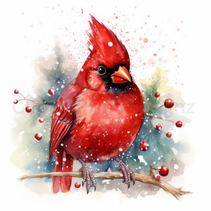 11 Cute Christmas Red Cardinals, High Quality Clipart Bundle ...