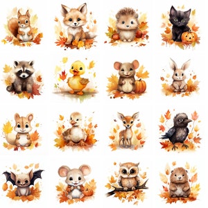 Watercolor Baby Fall Animals Clipart Bundle 32 Cute (Download Now) - Etsy