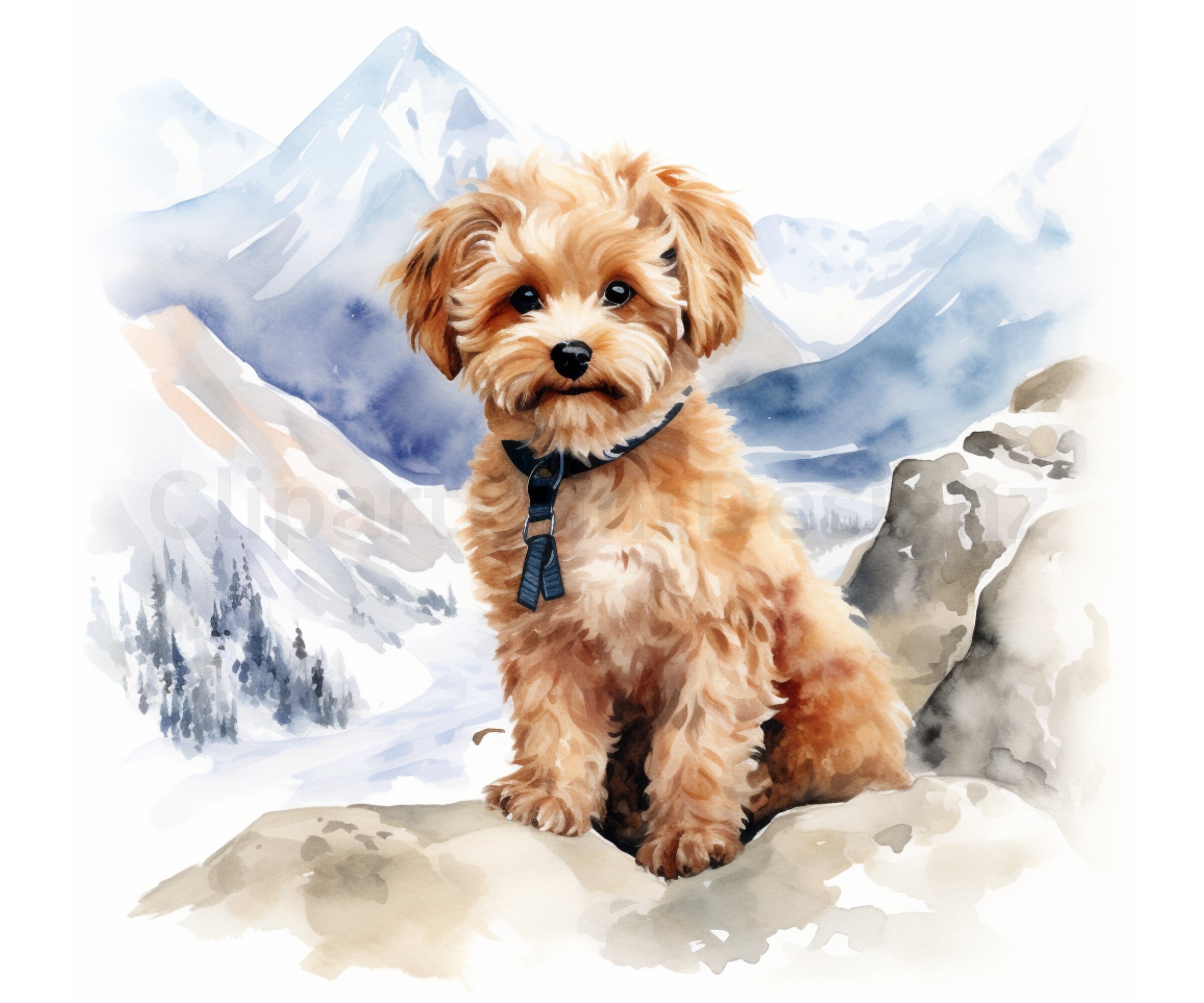 20 Cute Winer Dog Breeds, Watercolor Clipart Bundle, High Quality Pngs ...