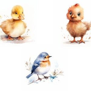 20 Cute Farm Animals, High Quality Clipart Bundle, Watercolor Pngs/jpgs ...
