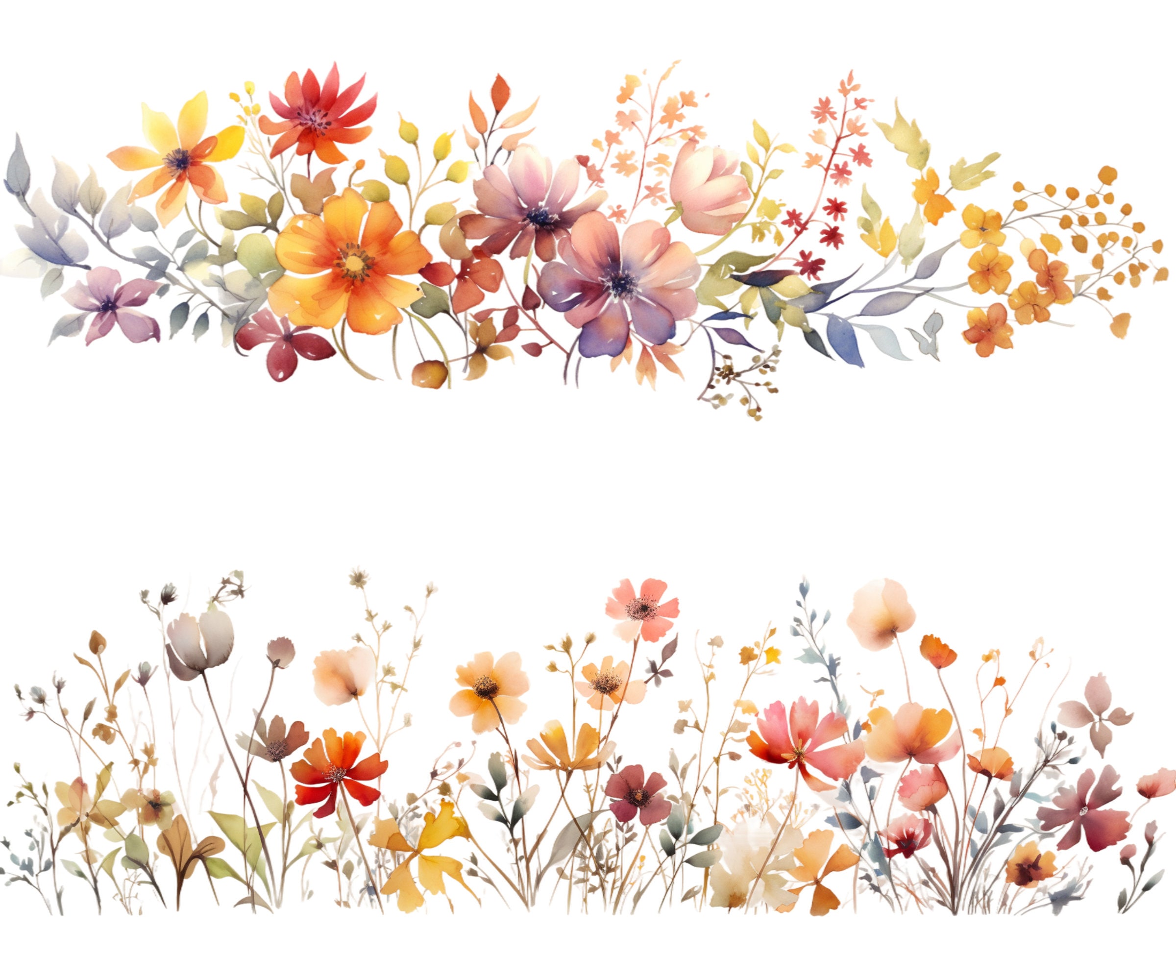 Watercolor Fall Flower Borders, 20 Pngs/jpgs/svgs, Autumn Flowers ...