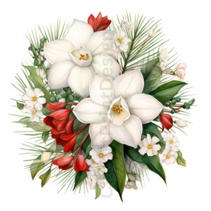 Watercolor Christmas Flowers Clipart, 20 High Quality Images, Christmas ...